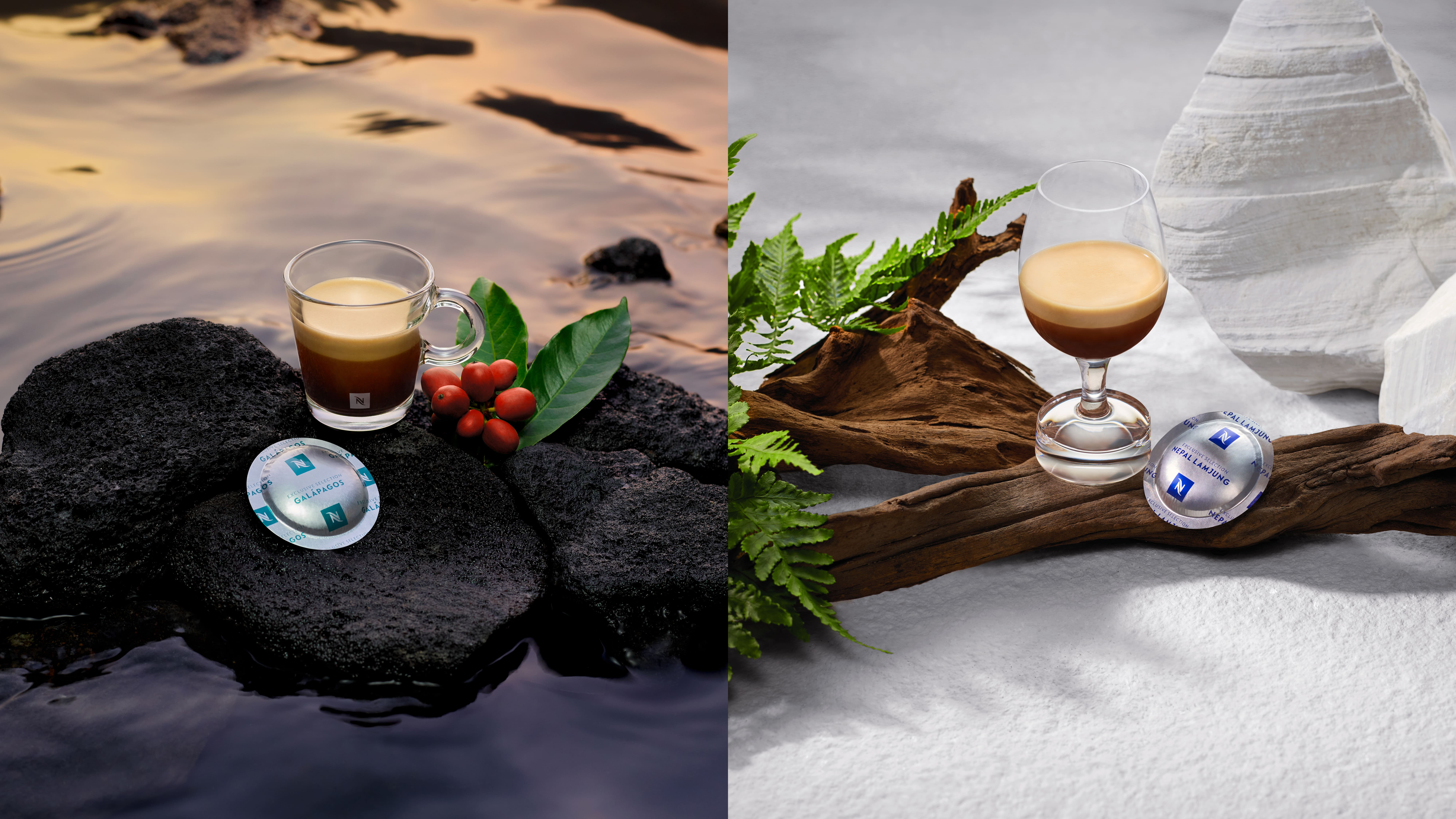 Nespresso Plan De Campagne